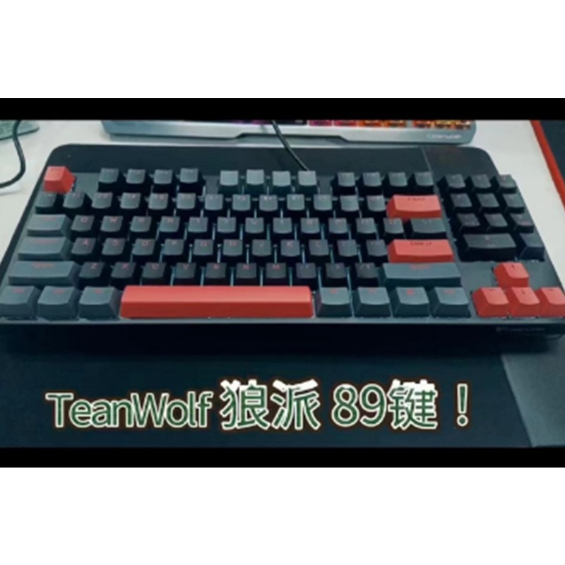 狼派（teamwolf）X57 89键机械键盘 发光 绝地求生游戏键盘 集贤 光轴